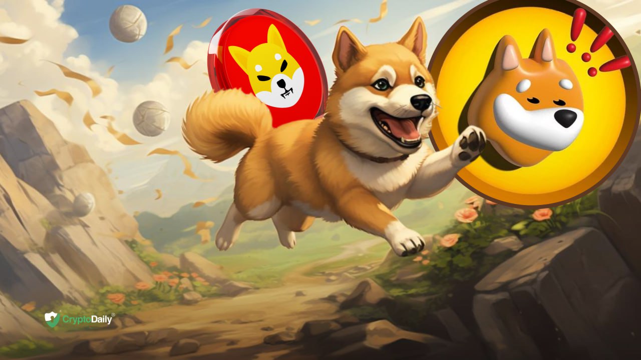 How Far Can Shiba Inu (SHIB) and Bonk (BONK) Go Before Year-End? - Crypto Daily